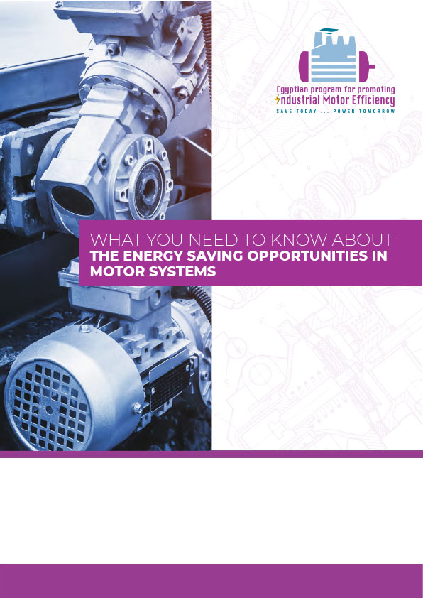 Infographics | Industrial Motors Energy Efficiency Programme
